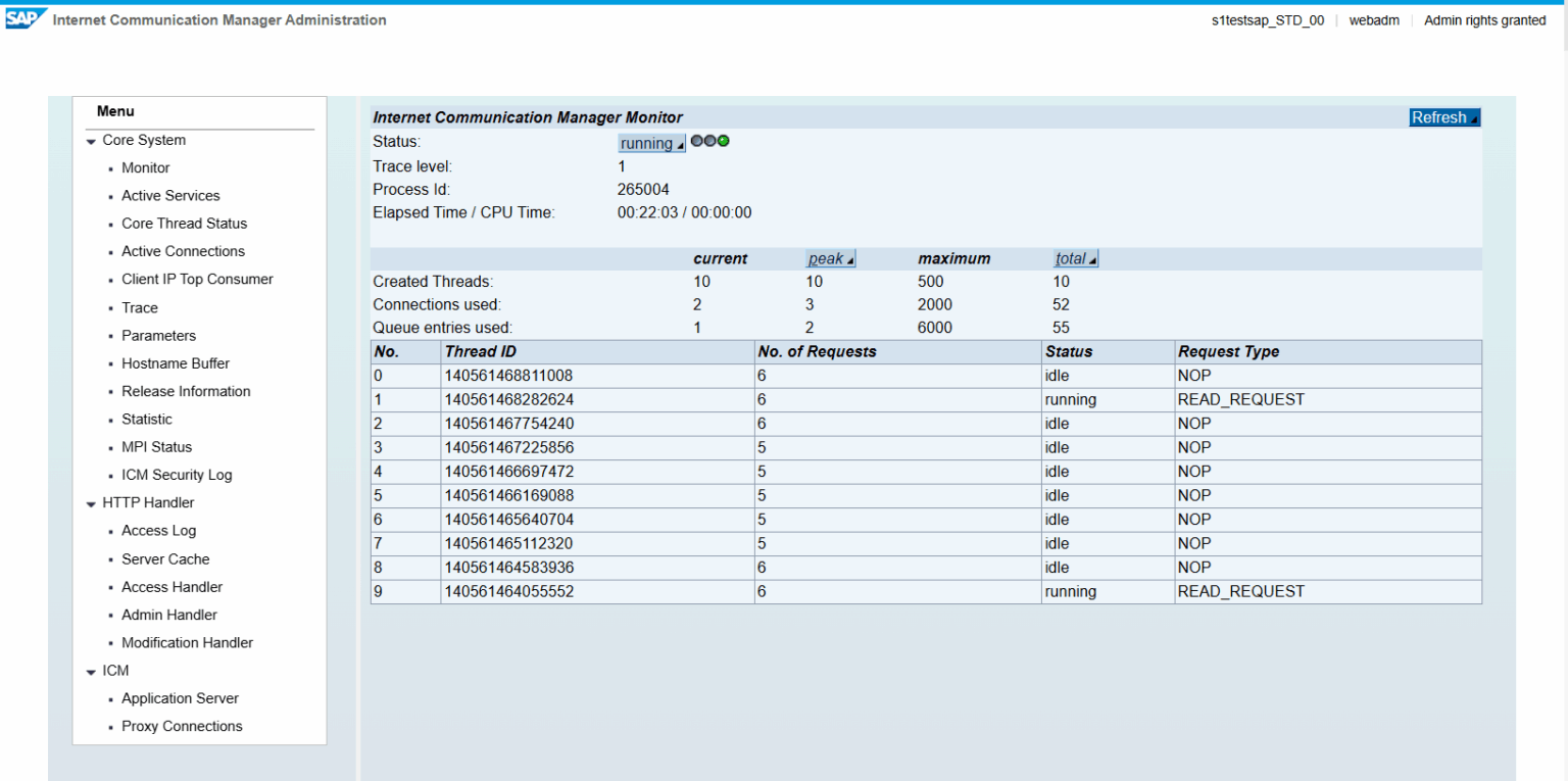 SAP ICM Administration Tools: How to Set Up - Basisnerd